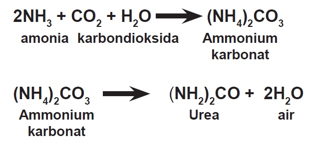 Macam-Macam Pupuk Nitrogen (N) | Saraswati Update
