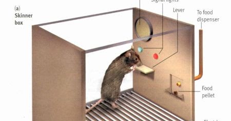 Terrierman's Daily Dose: Shocking News About B.F. Skinner