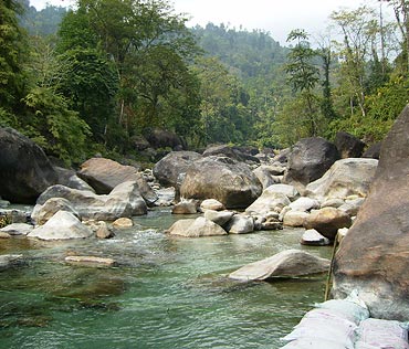 Bindu in Dooars | Dooars Ecoviillege