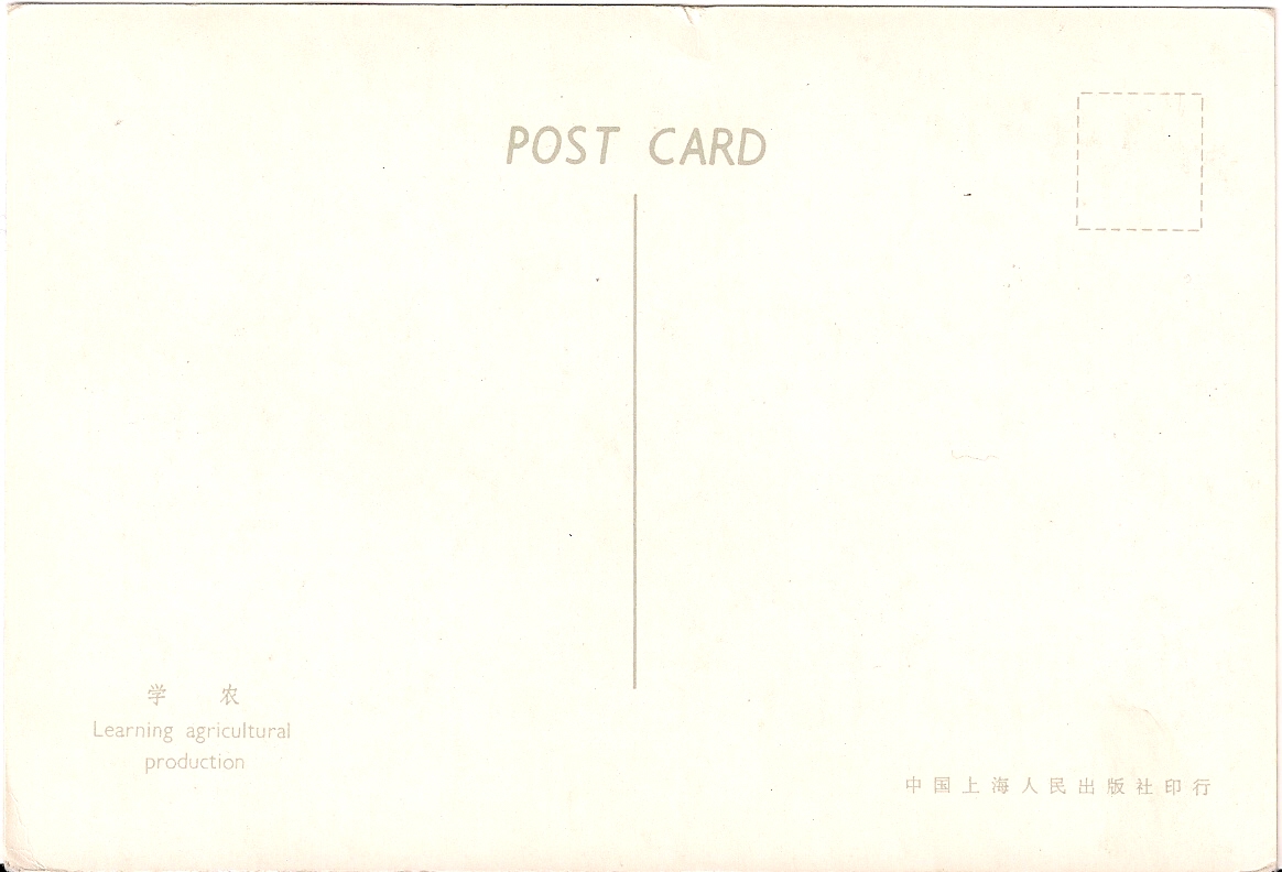 Austin's Cards: Chinese Postcard (Cultural Revolution Era)