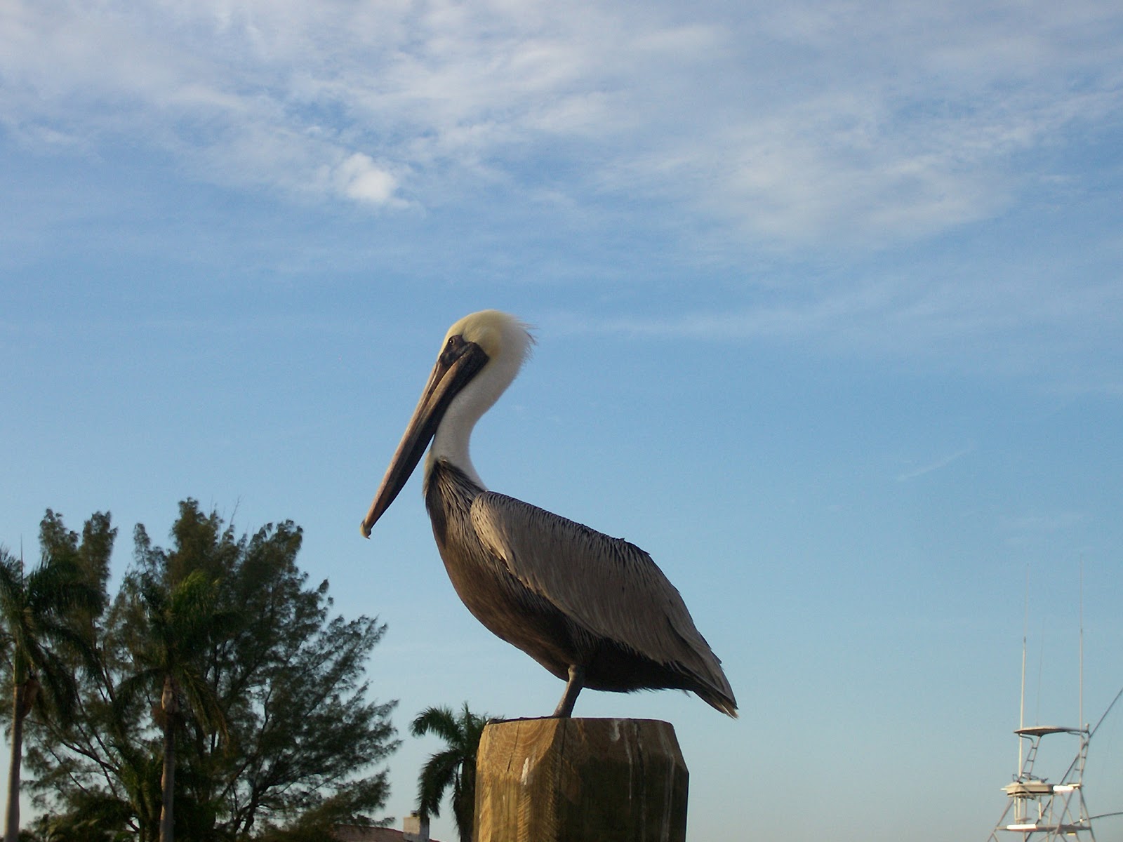 MV "Help Me Rhonda": Pompano Beach and Boca Raton