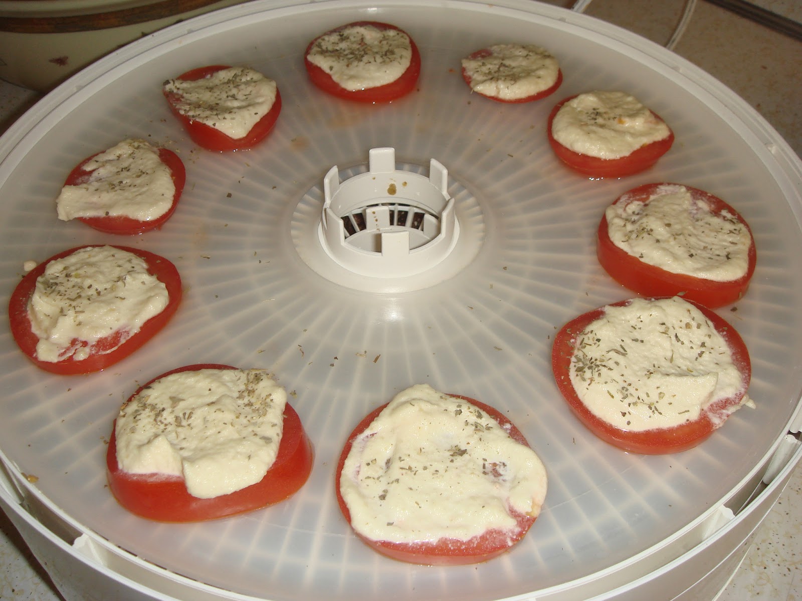 Angel's Foods: Fresh Food For Life: Raw Italian Tomato Snacks