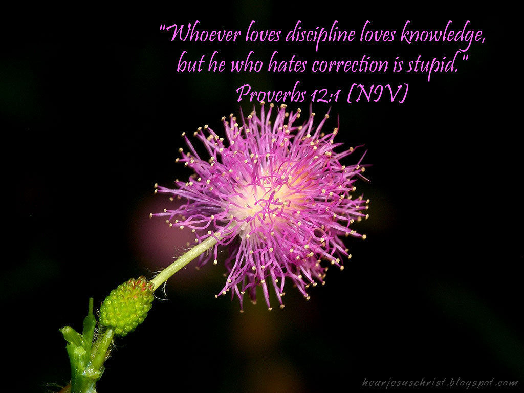 Christian Wallpapers: July 2011