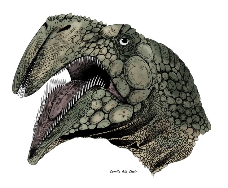 Escenarios prehistóricos: Atopodentatus