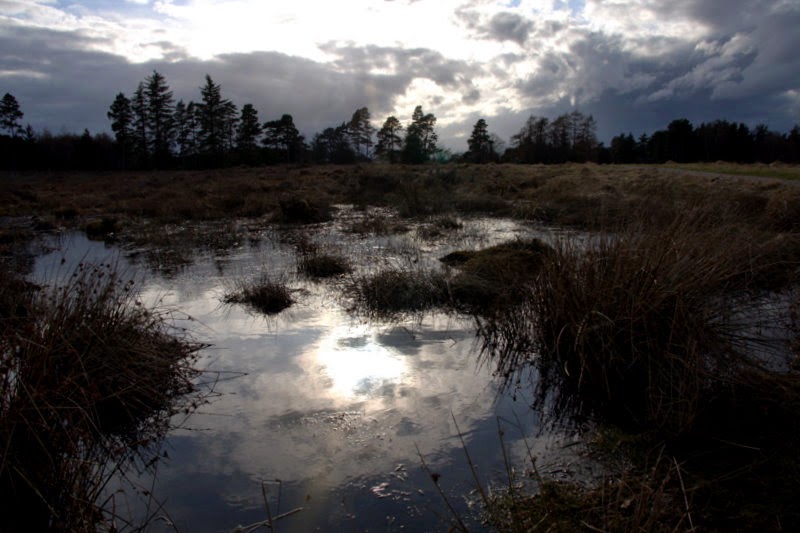 Offical Blog of Debbie Peterson: The Haunted Moor of Culloden...