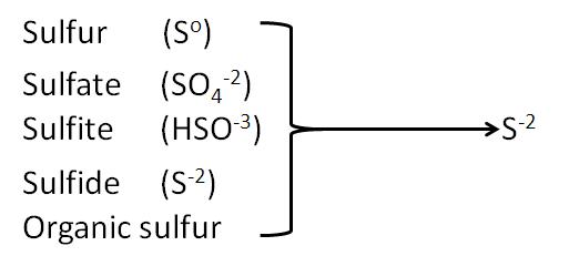EnoViti: Where Does Hydrogen Sulfide Come From?