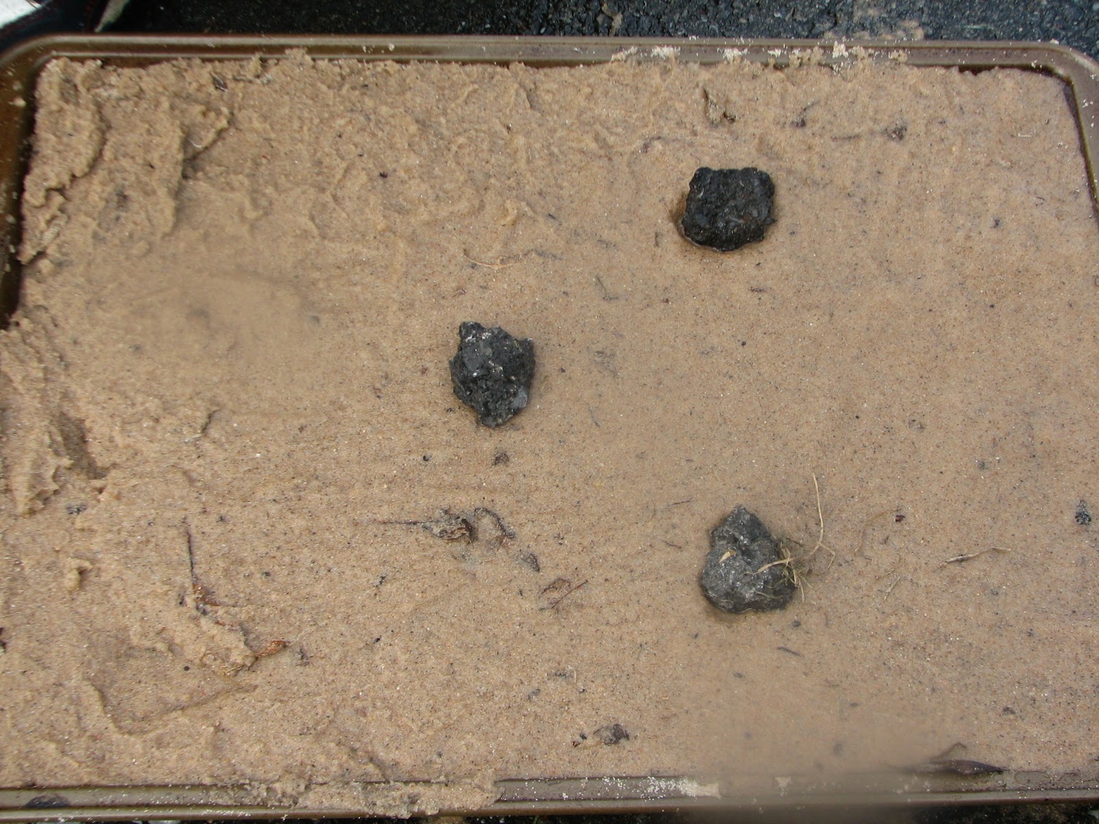 Science Matters: Erosion: A Flowing River