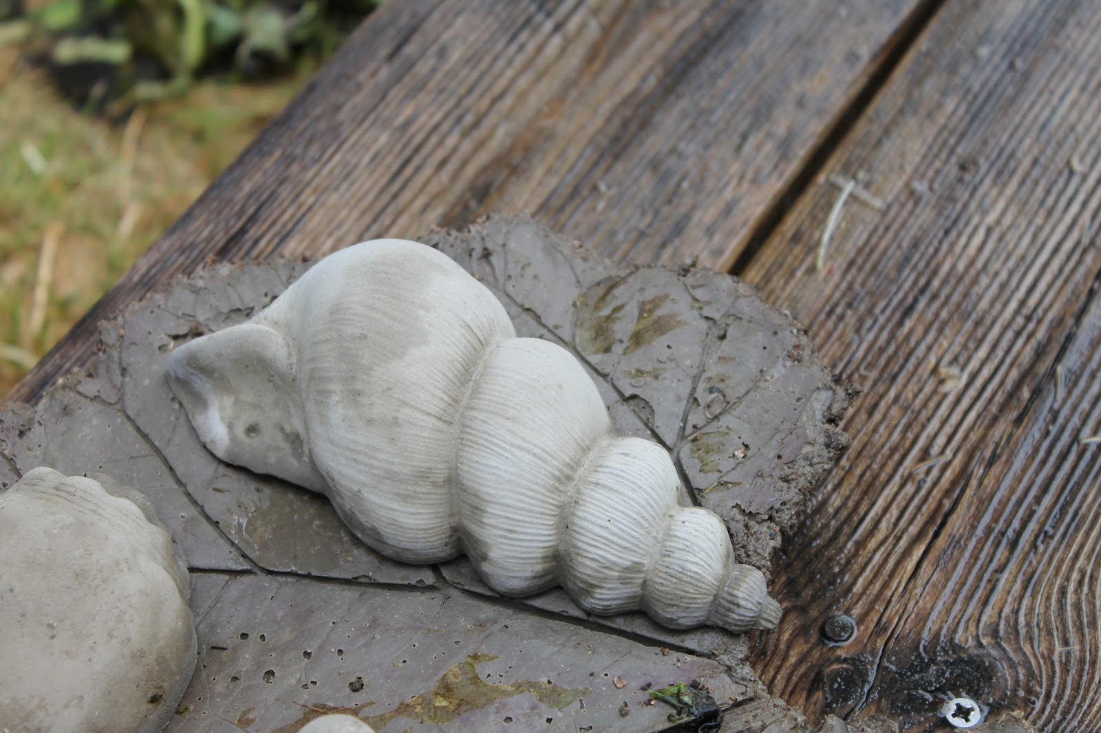 Draganasgarden: Skoljke kao inspiracija - produzite ljeto