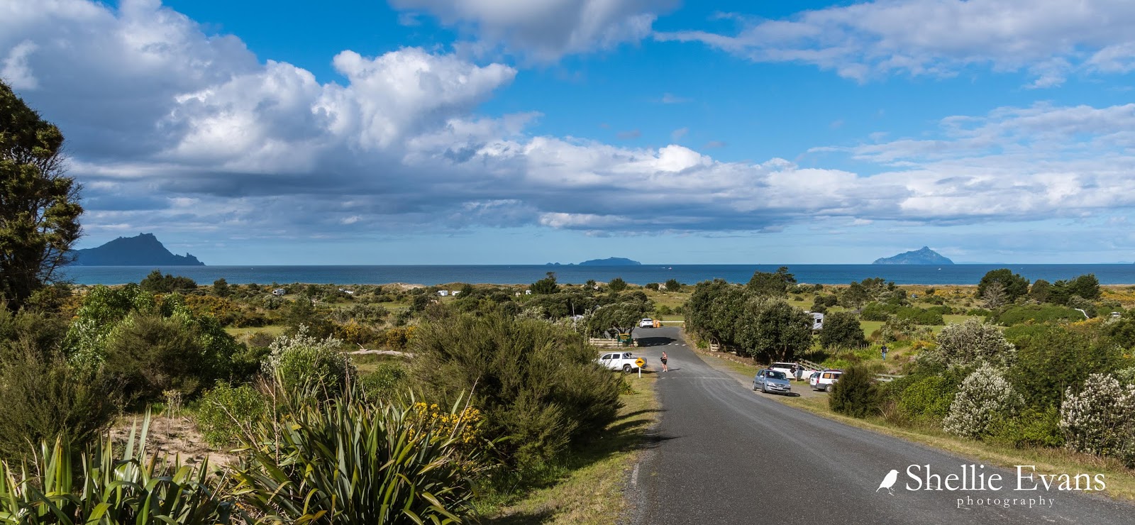 Two Go Tiki Touring: Stunning Beach & Uretiti DOC Camp