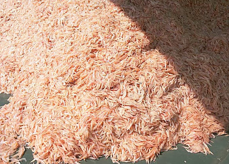 Tertunailah Hasrat Di Hati: Udang Geragau/Bubuk Goreng Kunyit