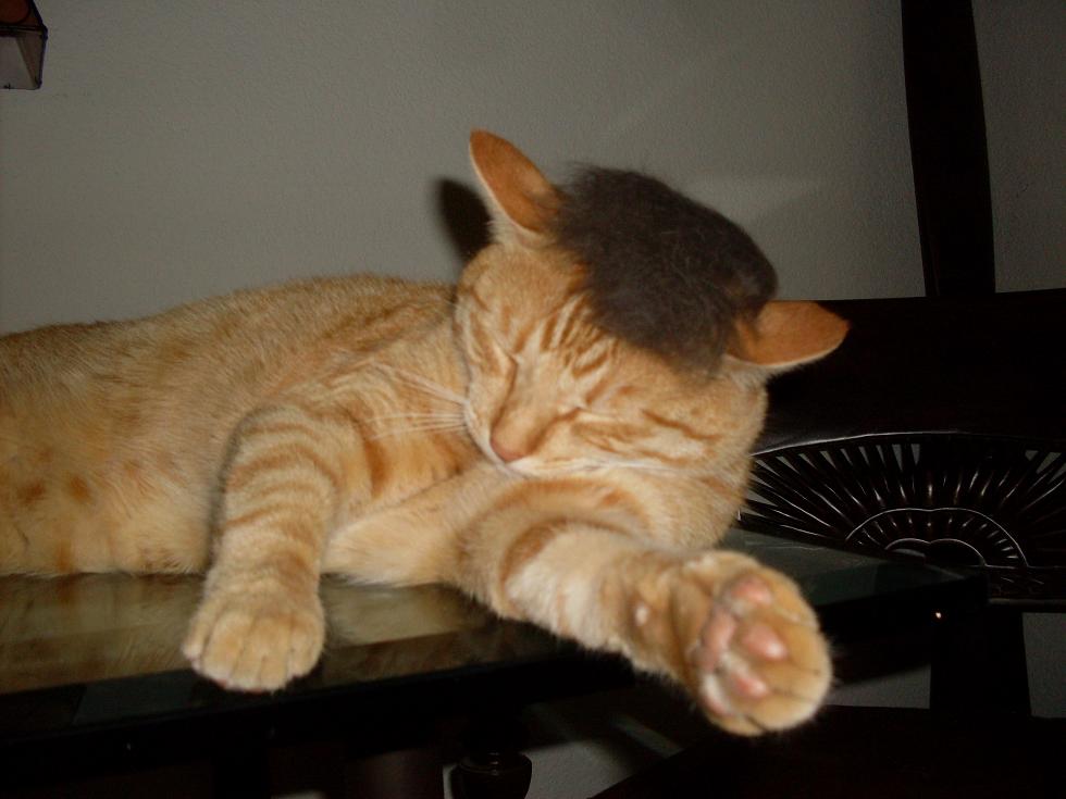 MmePolaire: True Crime Cake & California