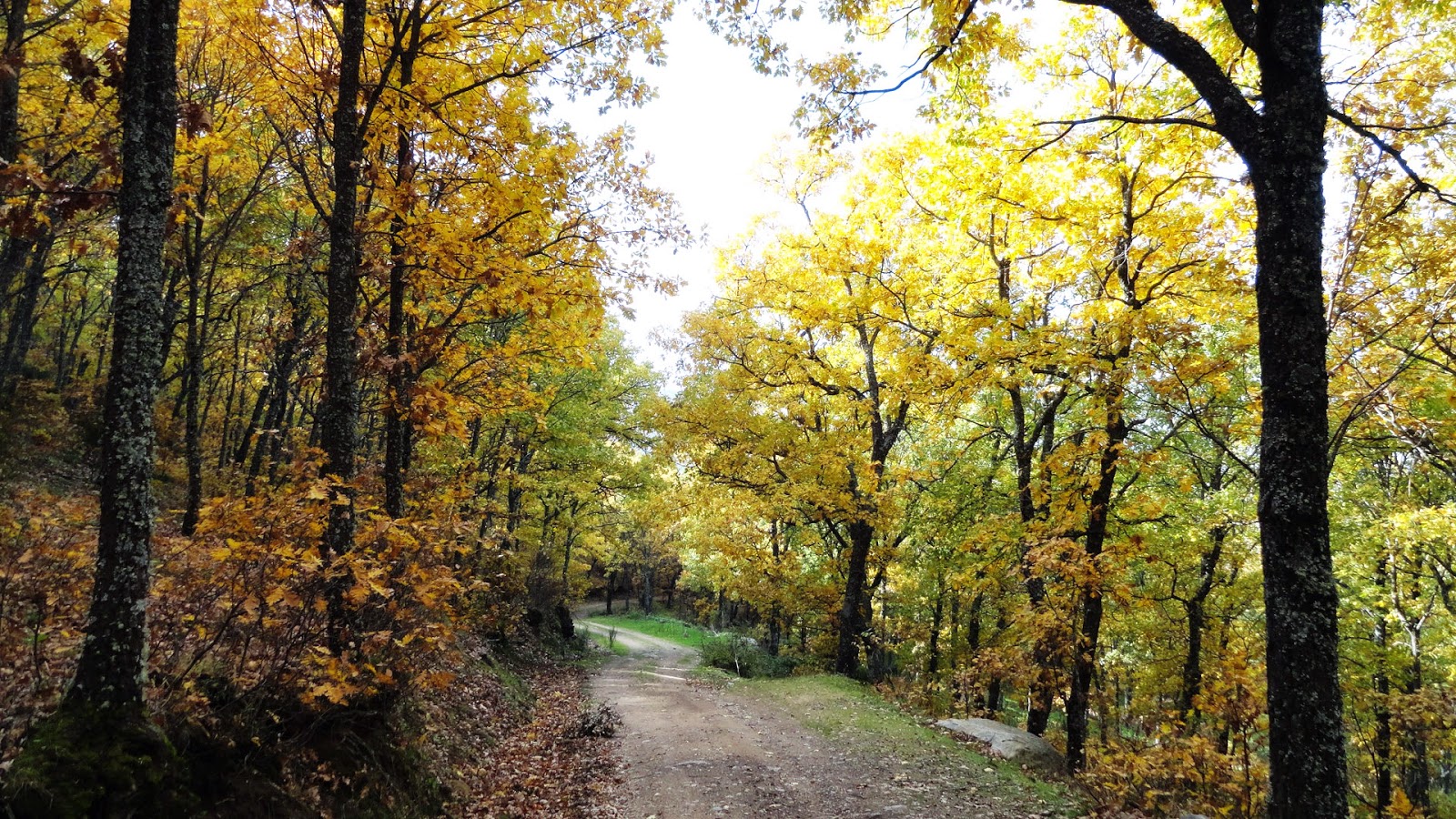 EL BICIERRANTE: NACIMIENTO DEL ADAJA Y VALLE DEL CORNEJA