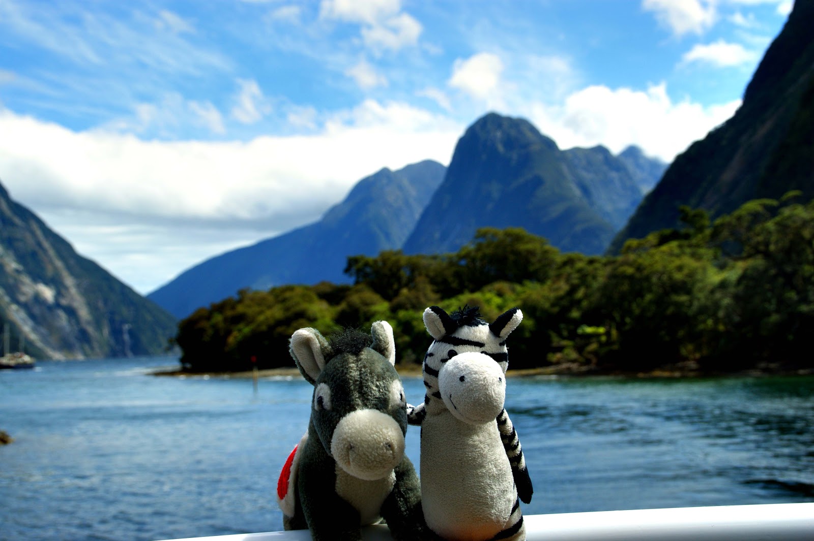 Zebresel.: Zebresel.