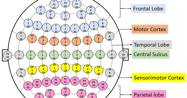 Supervised Pattern Recognition Techniques for Detecting Motor Intention ...