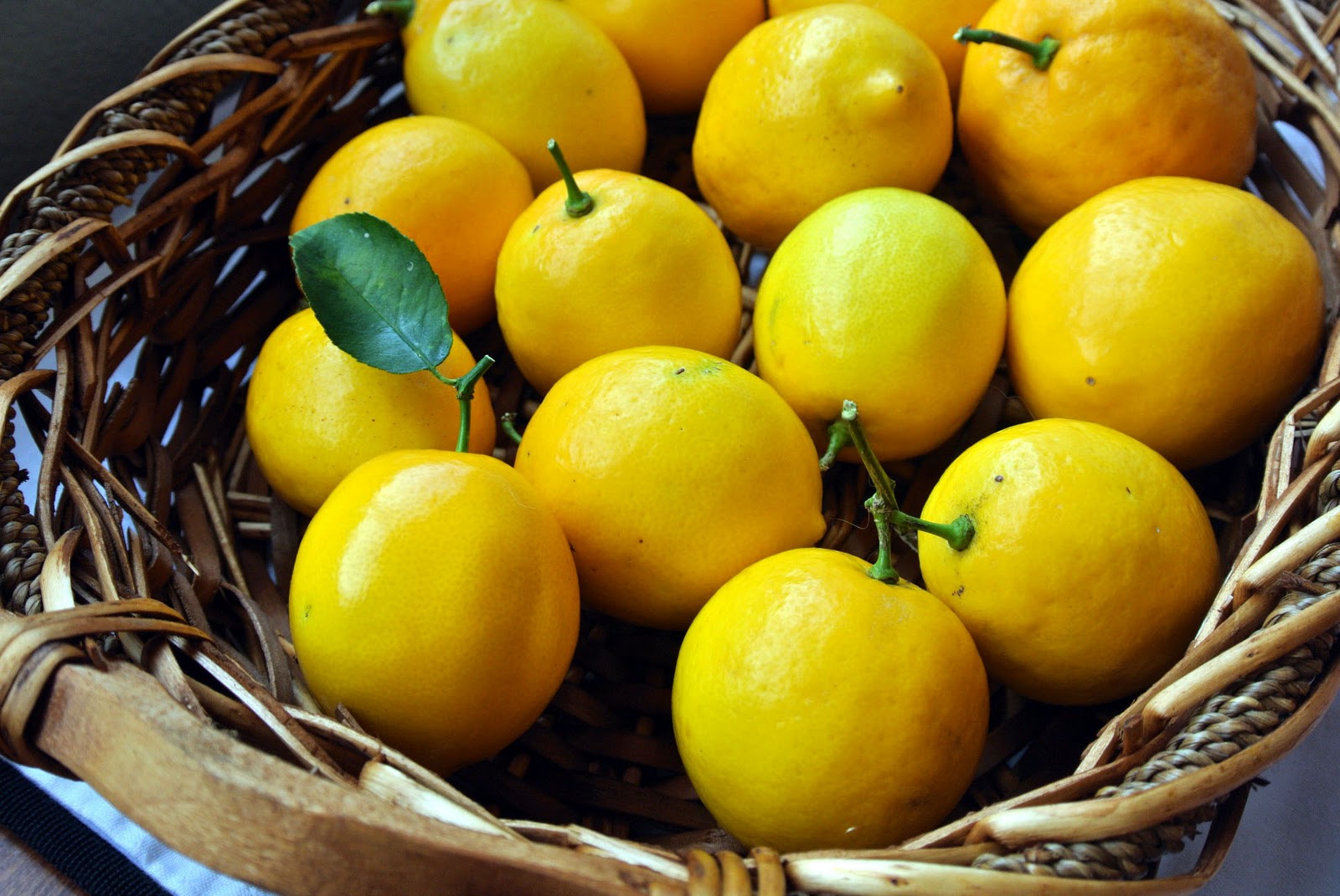 Gourmet Cooking For Two: Limoncello Cocktail