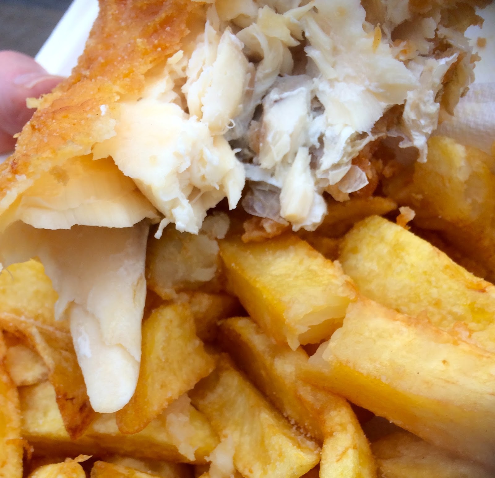 Chish and Fips, Norwich