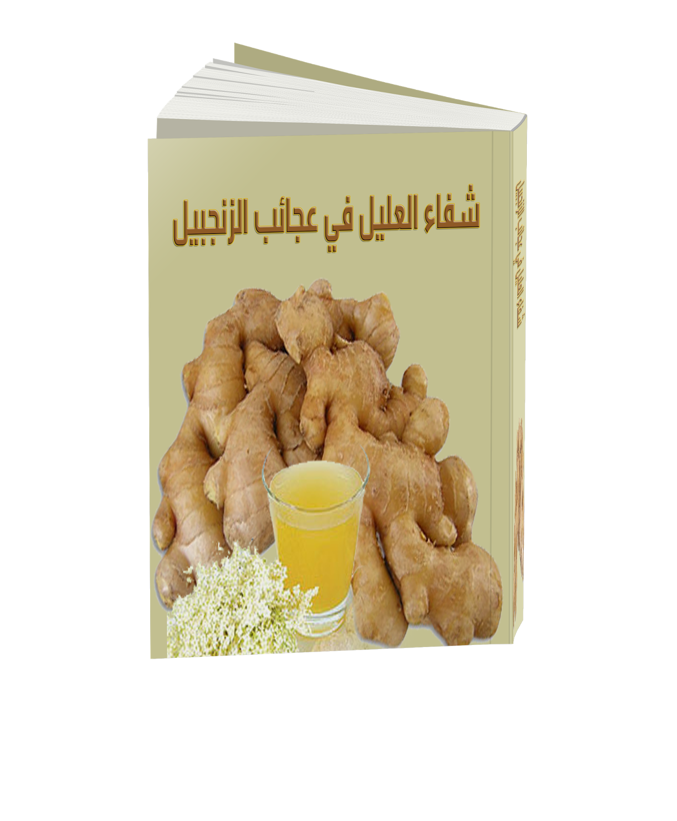 تحميل كتاب شفاء العليل في عجائب الزنجبيل ~ موقع فائدة