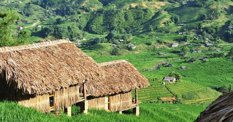 Explore the unique homestay watching the panorama of terraced rice ...