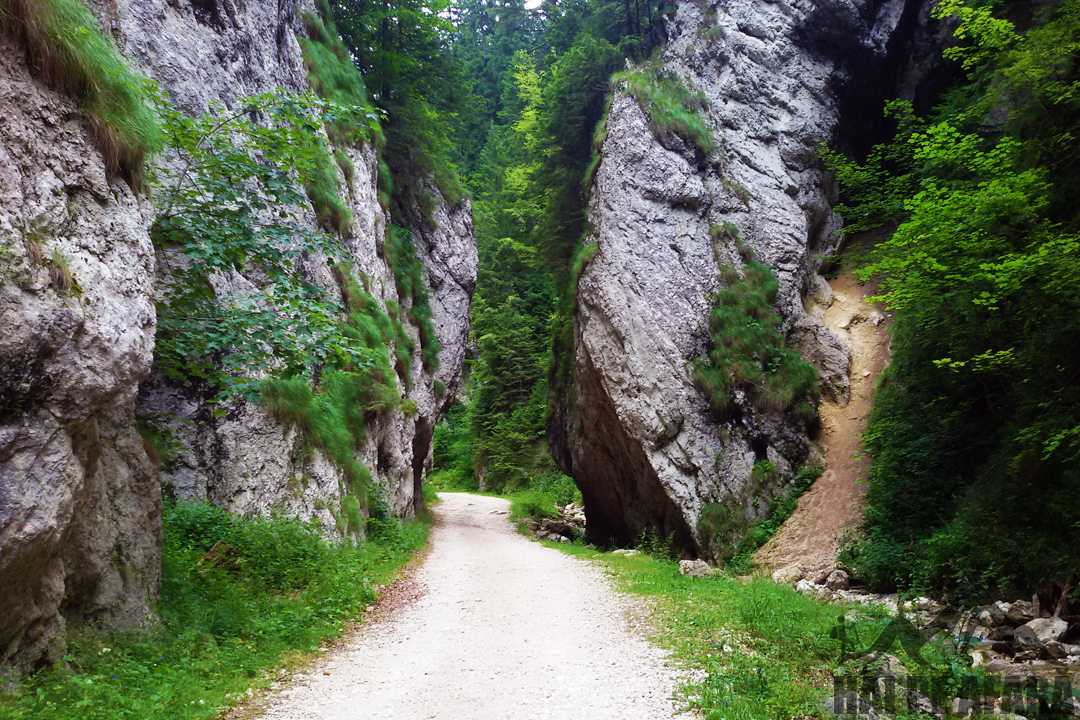 Satul Măgura - Prăpăstiile Zărneștilor - Cabana Curmătura [iulie 2016]