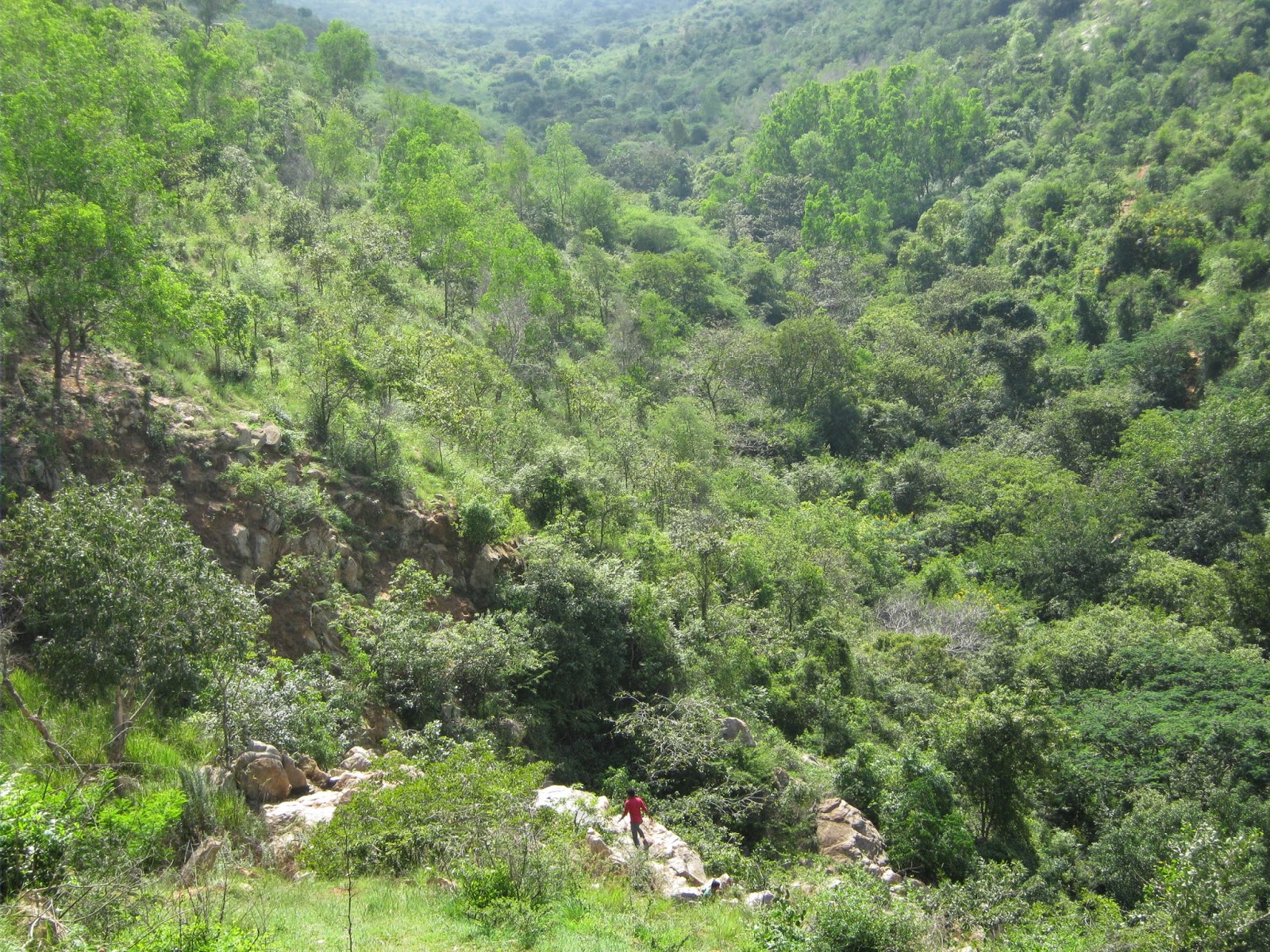 MuthyalaMaduvu , Pearl Valley , Anekal , near Bengaluru
