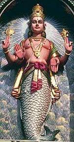 El tarot persa de Madame Indira: La Rueda de los peces