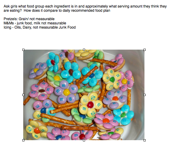 Follow The Leader: Brownies: Snack Badge