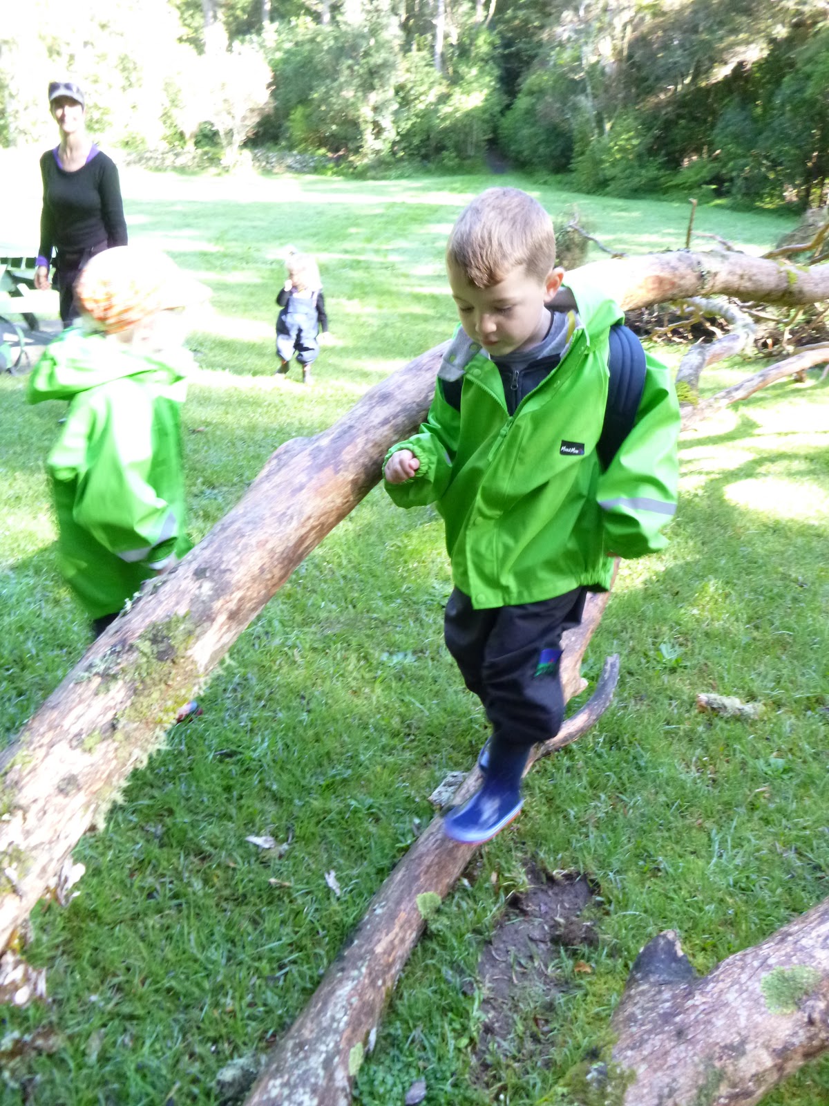 Mairtown Kindergarten: What a surprise discovery on the nature programme