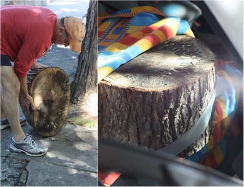 How To: DIY Stump Table | 17 Apart