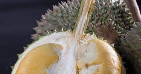 Durian Info: Durian Varieties In Malaysia