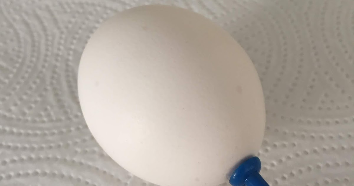 How To Empty An Egg For Decorating