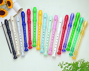 Amazing Recorder: Picture