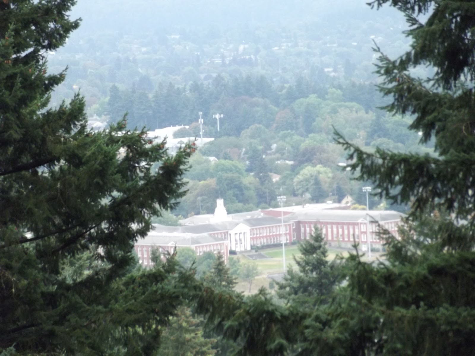 My Eclectic Thoughts: Mt Tabor Park in Portland