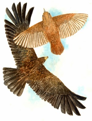 Usk Chirps: Twelfth Night