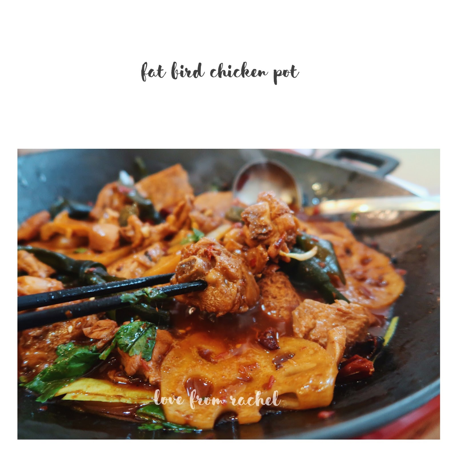 Fat Bird Chicken Pot Near Bugis Junction