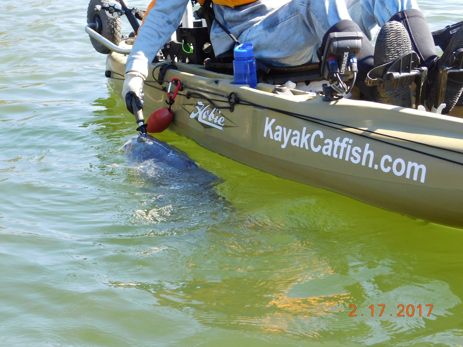 Trophy Catfish Lives Matter - Kayak Catfish
