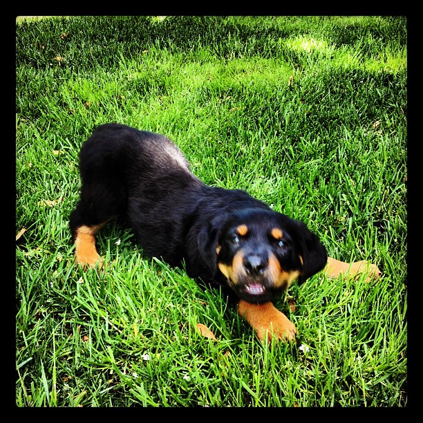 BRUNO MARS CHILE "BMChile": Foto: Bruno Mars muestra fotos con su ...