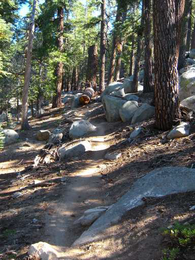 Life is a mountain.: Freel Peak, CA