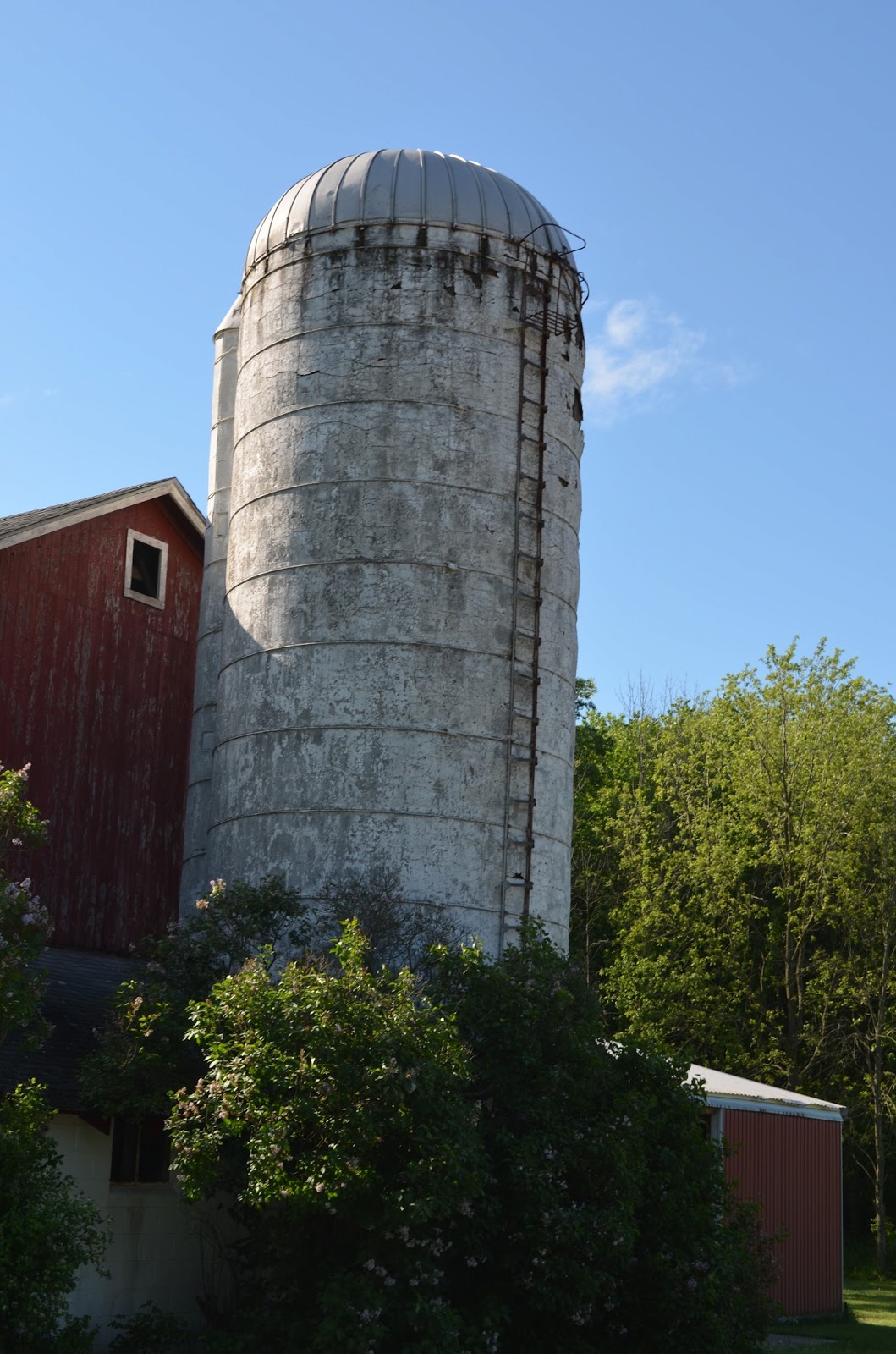 The Silo Story