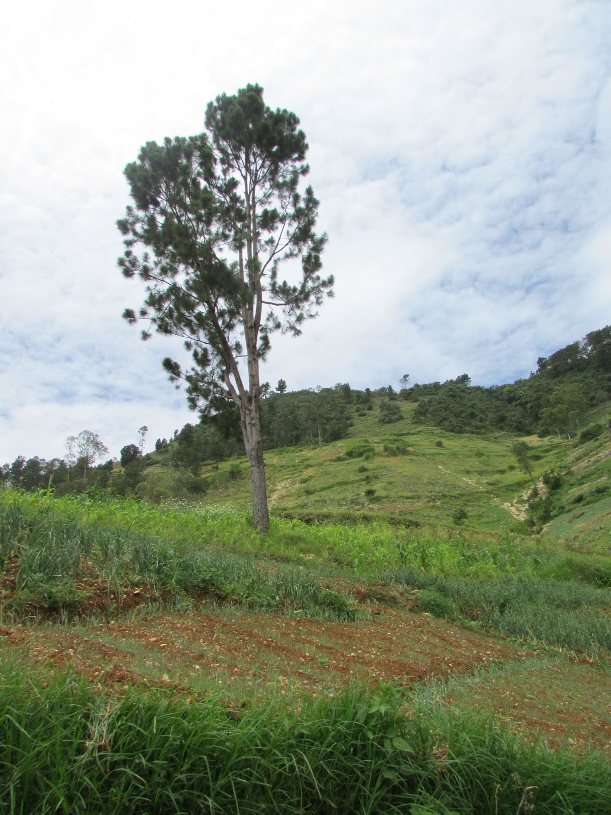 Karen Bultje - Haiti: Kenscoff Mountain Walk - Part 1