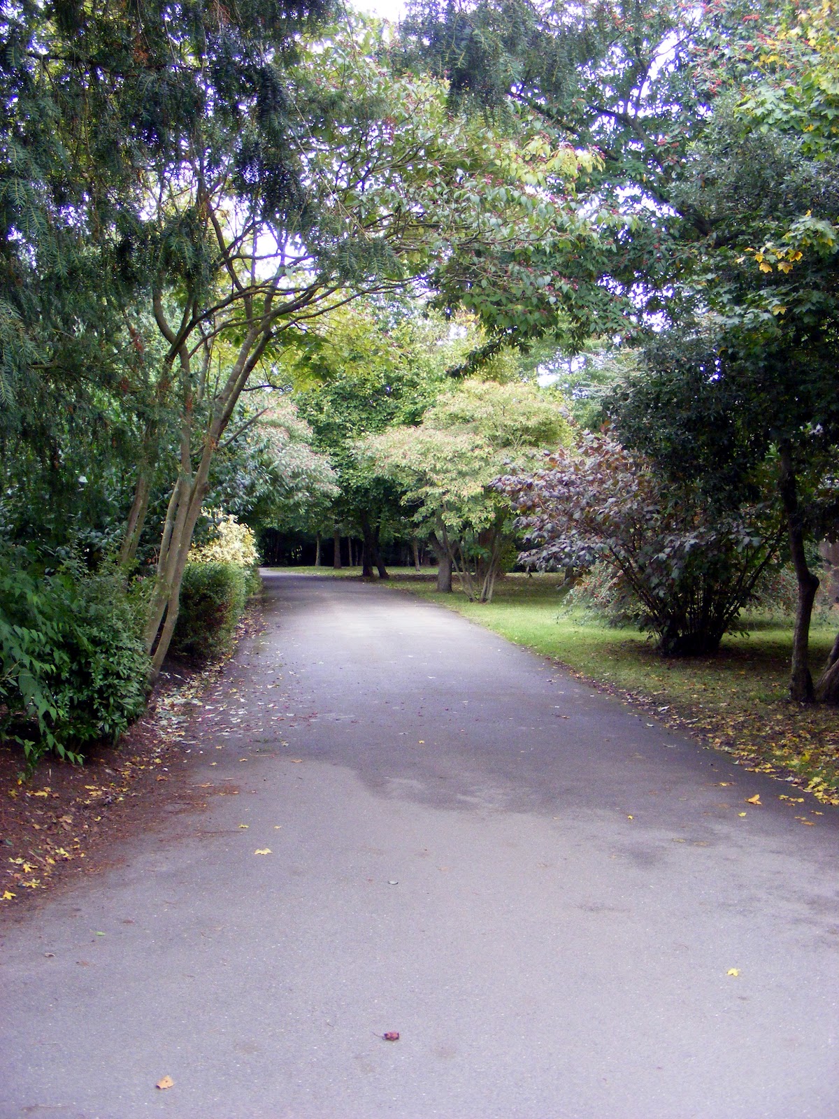 TheLondonLoop: London Loop-Hamsey Green to Banstead 3rd October 2012