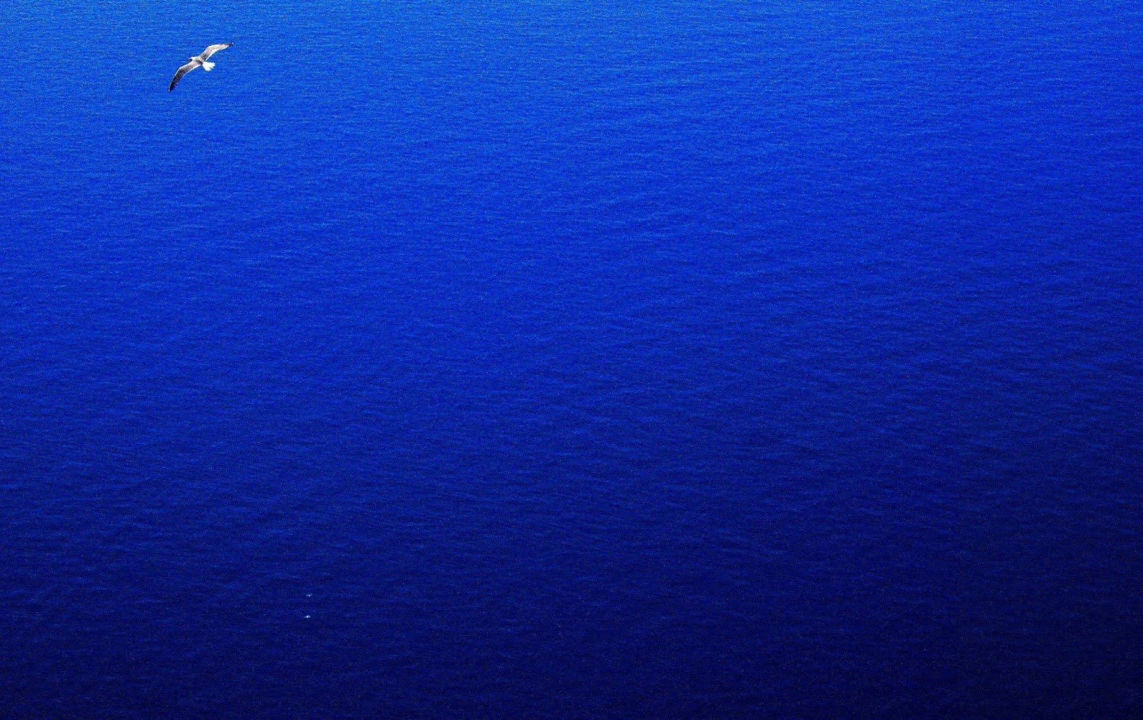 IMAGENES DEL AGUA EN LA NATURALEZA: IMAGEN DEL MAR AZUL