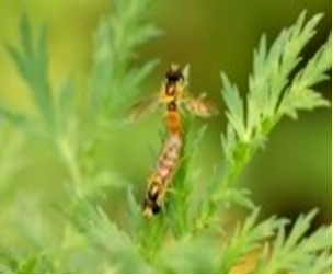 TULONGE AFYA!: Kujamiana