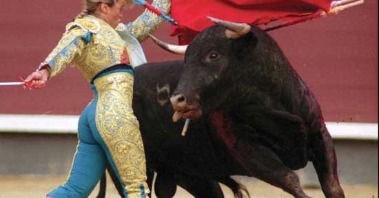 Living in Kellie's World: The Bullfight