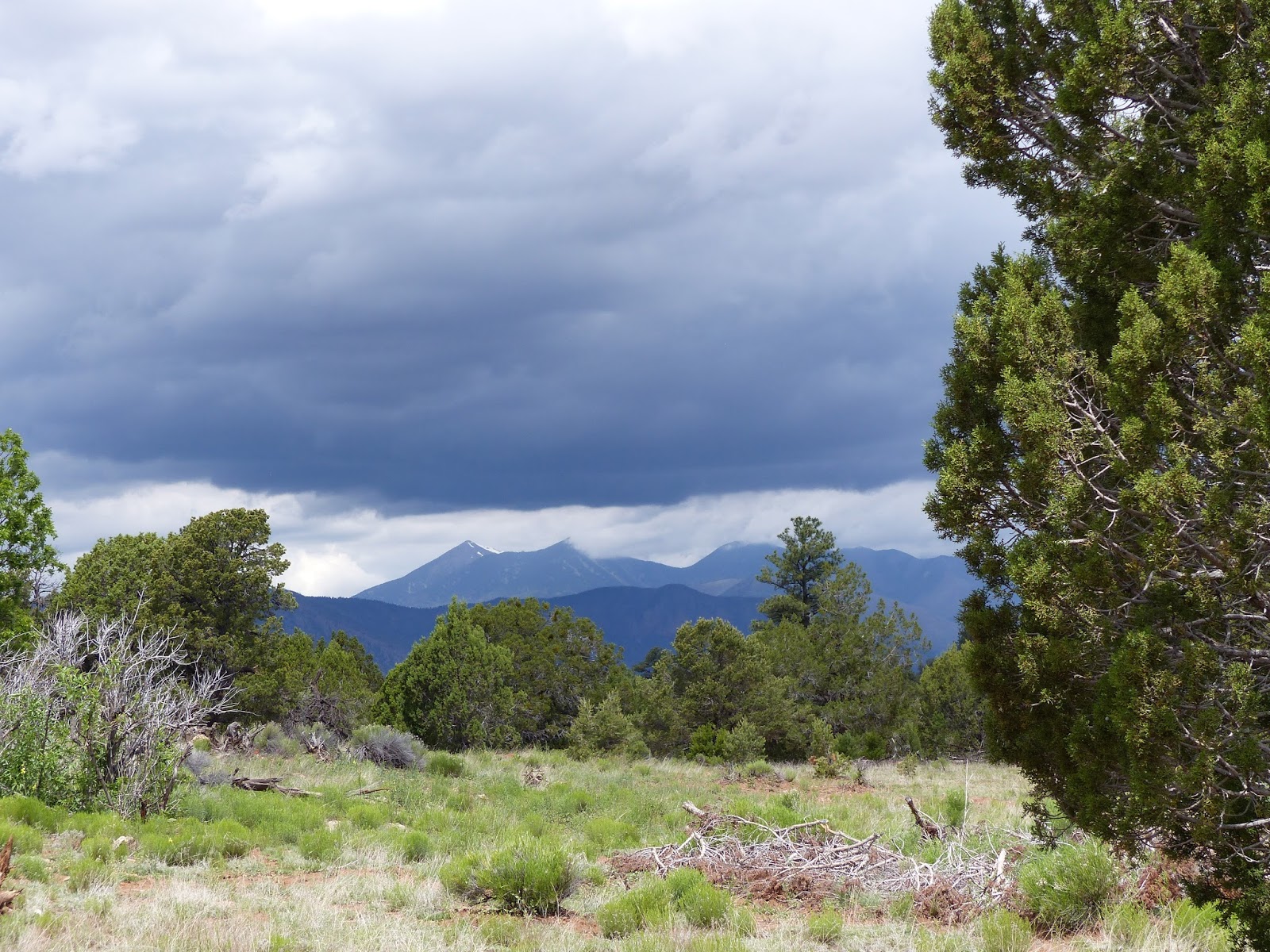 Land Cruising Adventure: National Forest Hiking - Flagstaff, Arizona