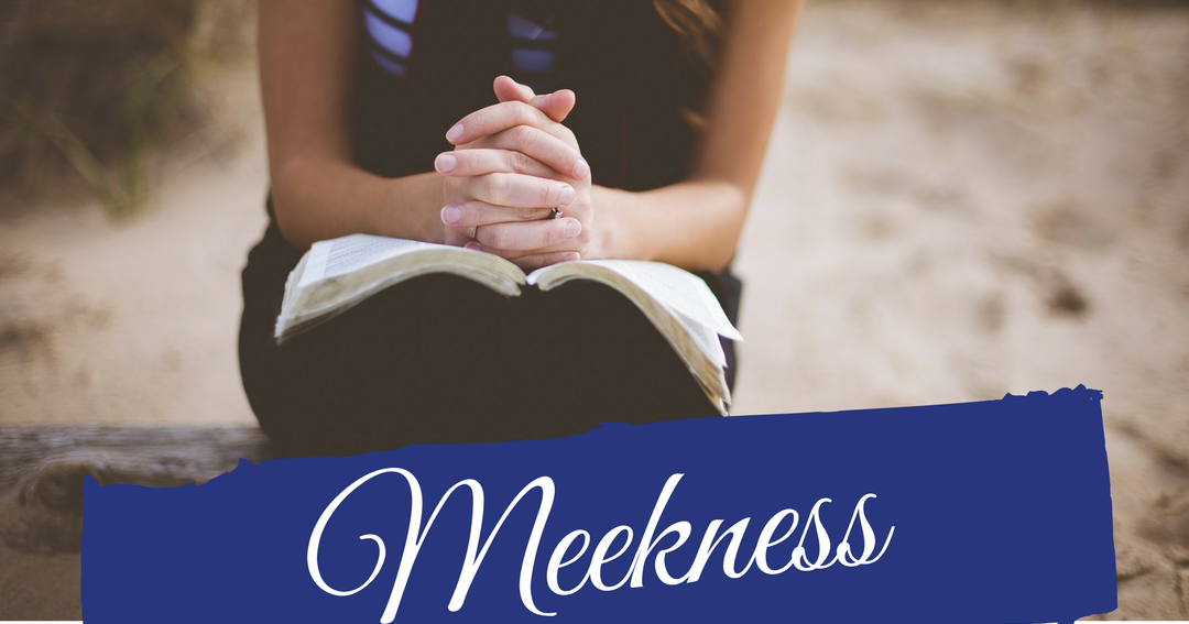 LET'S GET REAL: Let's Talk Meekness!