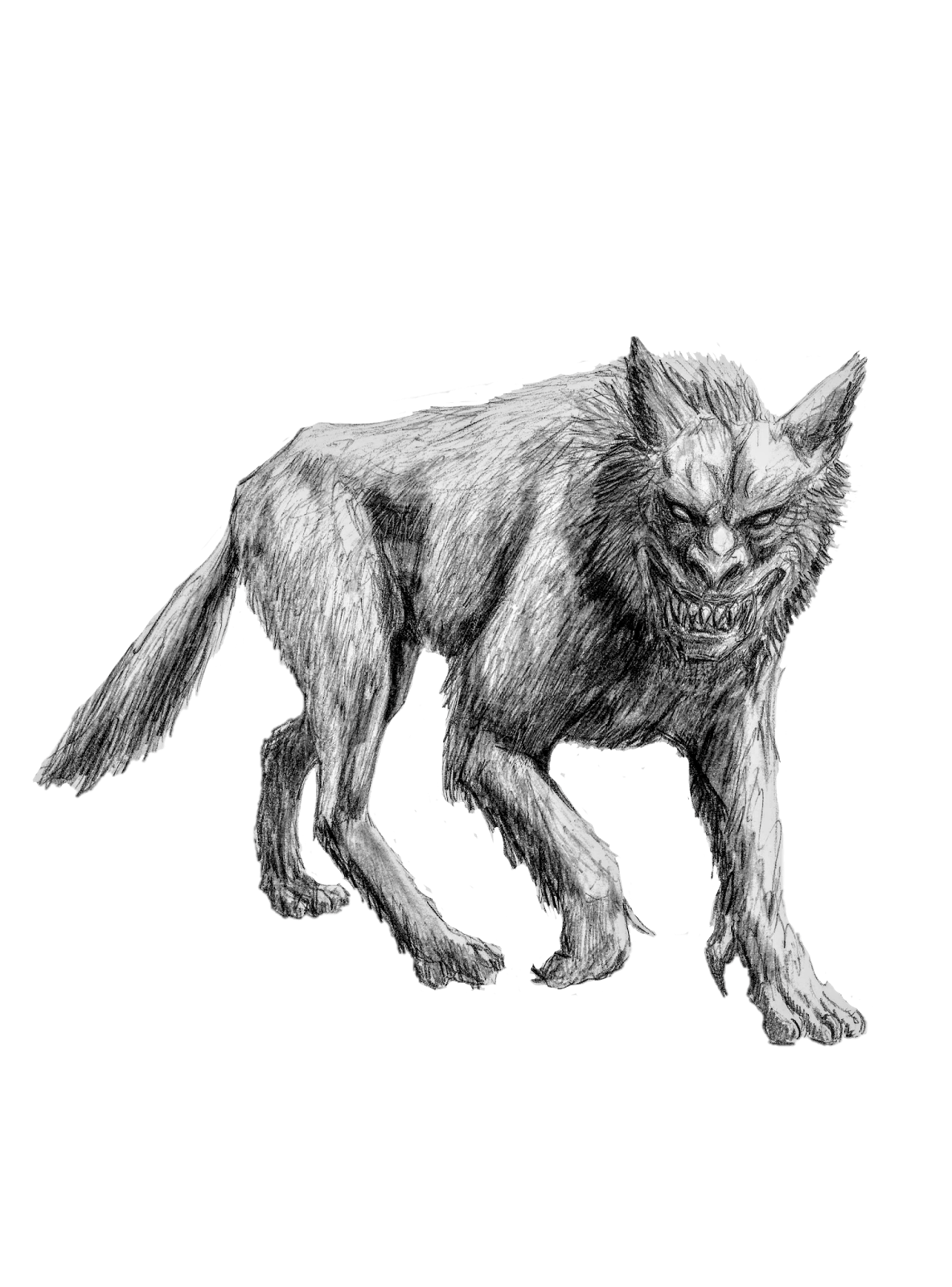 Peregrino en Cäea: 2016