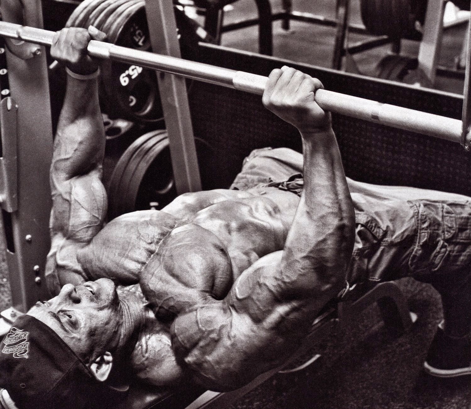 the beauty of male muscle: Troy