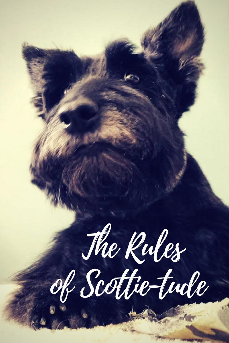 Scottie Mom: The Rules of Scottie-tude