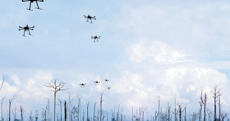 Tree-Planting Drones Have Planted Thousands Of Saplings Successfully ...