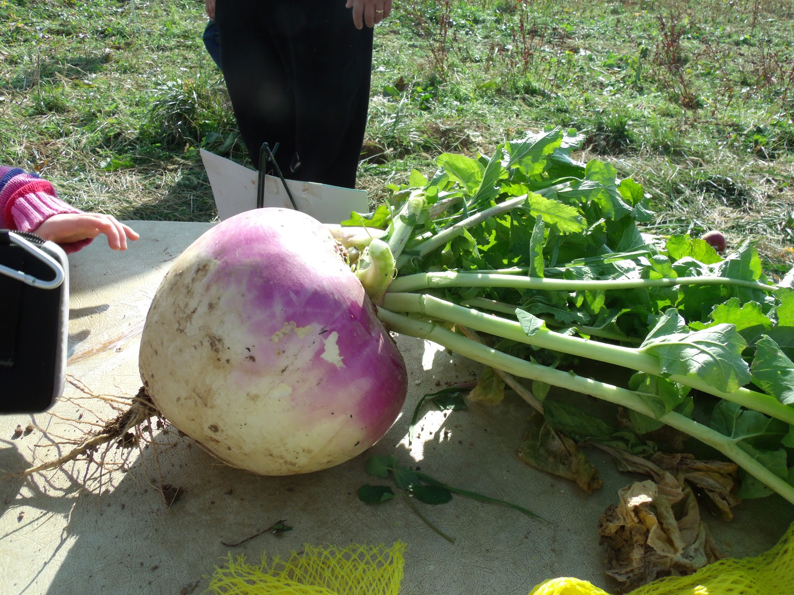 Spiritual Homesteading